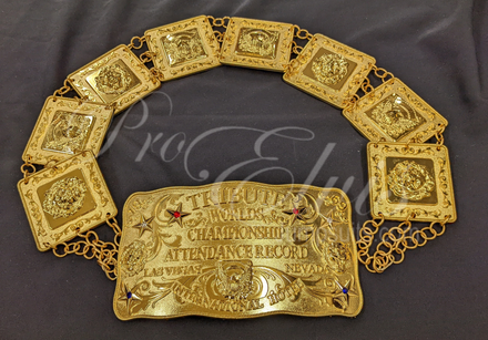 B) Belts – ProElvisJumpsuits